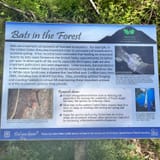 Hard Times Loop, North Carolina - 1,299 Reviews, Map | AllTrails