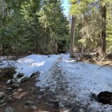 Icicle Gorge Trail, Washington - 2,213 Reviews, Map | AllTrails
