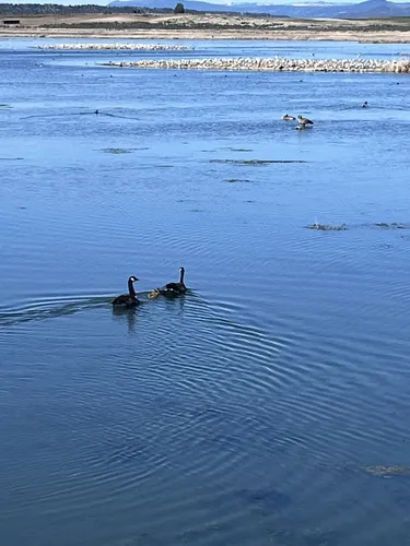 Best Hikes and Trails in Modoc National Wildlife Refuge | AllTrails