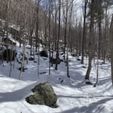 Boulder Loop Trail, New Hampshire - 2,060 Reviews, Map | AllTrails