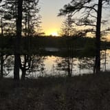 Batsto Lake Trail, New Jersey - 1,750 Reviews, Map | AllTrails