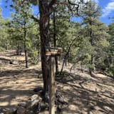 Atalaya Mountain Trail, New Mexico - 2,689 Reviews, Map | AllTrails