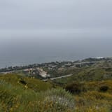 Ocean Overlook Loop, California - 1,003 Reviews, Map | AllTrails