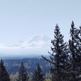 Echo Peak Loop Trail, Washington - 1,667 Reviews, Map | AllTrails