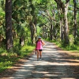 Guana Reserve Trail, Florida - 241 Reviews, Map | AllTrails