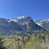Heybrook Ridge via Leovy Trail, Washington - 1,627 Reviews, Map | AllTrails