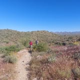 Picketpost Loop via Arizona Trail and L.O.S.T Trail, Arizona - 1,510 ...