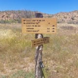 Picketpost Loop via Arizona Trail and L.O.S.T Trail, Arizona - 1,516 Reviews, Map | AllTrails
