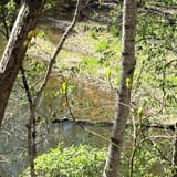 Martell Forest Loop, Indiana - 574 Reviews, Map | AllTrails