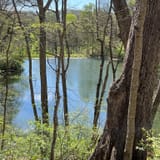 Martell Forest Loop, Indiana - 574 Reviews, Map | AllTrails