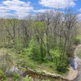 Martell Forest Loop, Indiana - 540 Reviews, Map | AllTrails