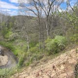 Martell Forest Loop, Indiana - 515 Reviews, Map | AllTrails