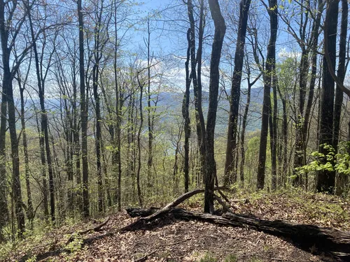 Best Fishing Trails in Fontana Dam | AllTrails Best Fishing Trails in Fontana Dam | AllTrails