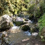 Waterfalls of Mount Diablo Loop, California - 2,341 Reviews, Map ...