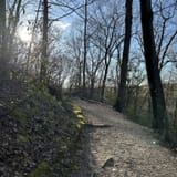 Reeves Brook Loop Trail, New York - 4,593 Reviews, Map | AllTrails