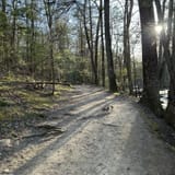 Reeves Brook Loop Trail, New York - 4,596 Reviews, Map | AllTrails