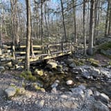 Reeves Brook Loop Trail, New York - 4,596 Reviews, Map | AllTrails
