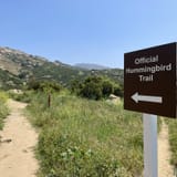 Hummingbird Loop, California - 2,059 Reviews, Map | AllTrails