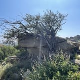 Hummingbird Loop, California - 2,059 Reviews, Map | AllTrails