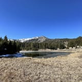 Beaver Ponds Loop Trail, Montana - 1,102 Reviews, Map | AllTrails