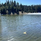 Beaver Ponds Loop Trail, Montana - 1,102 Reviews, Map | AllTrails