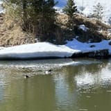 Beaver Ponds Loop Trail, Montana - 1,102 Reviews, Map | AllTrails