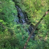 Issaqueena Falls Trail, South Carolina - 872 Reviews, Map | AllTrails
