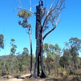 Mount Cooke Loop, Western Australia, Australia - 591 Reviews, Map ...