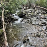 Ramsey Cascades Trail, Tennessee - 2,347 Reviews, Map | AllTrails