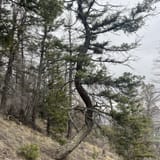 South Crestone Lake Trail, Colorado - 183 Reviews, Map | AllTrails