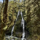 Boulder River Trail, Washington - 1,809 Reviews, Map | AllTrails