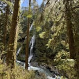 Boulder River Trail, Washington - 1,809 Reviews, Map | AllTrails