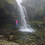 Grotto Falls via Trillium Gap Trail, Tennessee - 6,294 Reviews, Map ...
