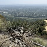Henninger Flats Trail, California - 2,924 Reviews, Map | AllTrails