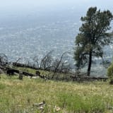 Henninger Flats Trail, California - 2,924 Reviews, Map | AllTrails