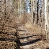 Amisk Wuche Trail, Alberta, Canada - 513 Reviews, Map | AllTrails