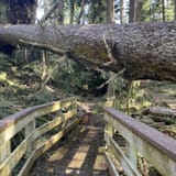 Indian River Trail, Alaska - 278 Reviews, Map | AllTrails