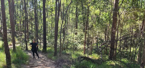 Best Kid Friendly Trails in Toohey Forest Park | AllTrails