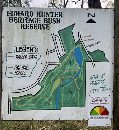 Best Forest Trails in Moe | AllTrails