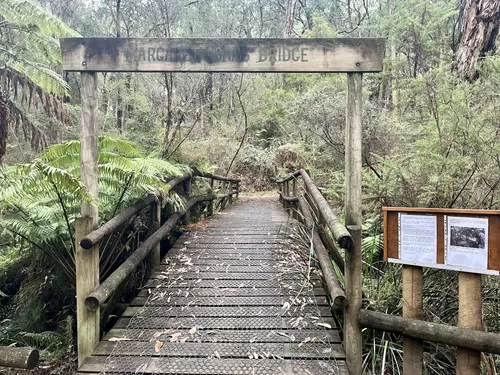 Best Forest Trails in Moe | AllTrails