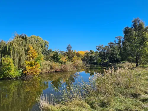 Best Walking Trails in Jerrabomberra Wetlands Nature Reserve | AllTrails