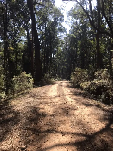 Best Hikes and Trails in Mount Samaria State Park | AllTrails