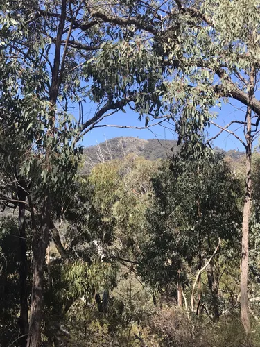 Best Hikes and Trails in Mount Samaria State Park | AllTrails