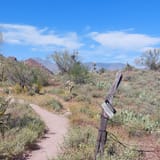 Second Water and Hackberry Spring Loop, Arizona - 2,022 Reviews, Map ...