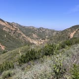 Towsley Canyon Loop Trail, California - 3,834 Reviews, Map | AllTrails