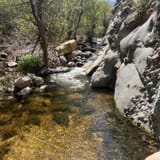 Towsley Canyon Loop Trail, California - 3,834 Reviews, Map | AllTrails