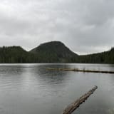 Wallace Falls and Wallace Lake Loop, Washington - 1,243 Reviews, Map ...