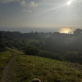 Malaga Lunada Vista Loop, California - 343 Reviews, Map | AllTrails
