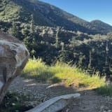 Stoddard Peak, California - 2,110 Reviews, Map | AllTrails