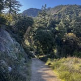 Stoddard Peak, California - 2,182 Reviews, Map | AllTrails